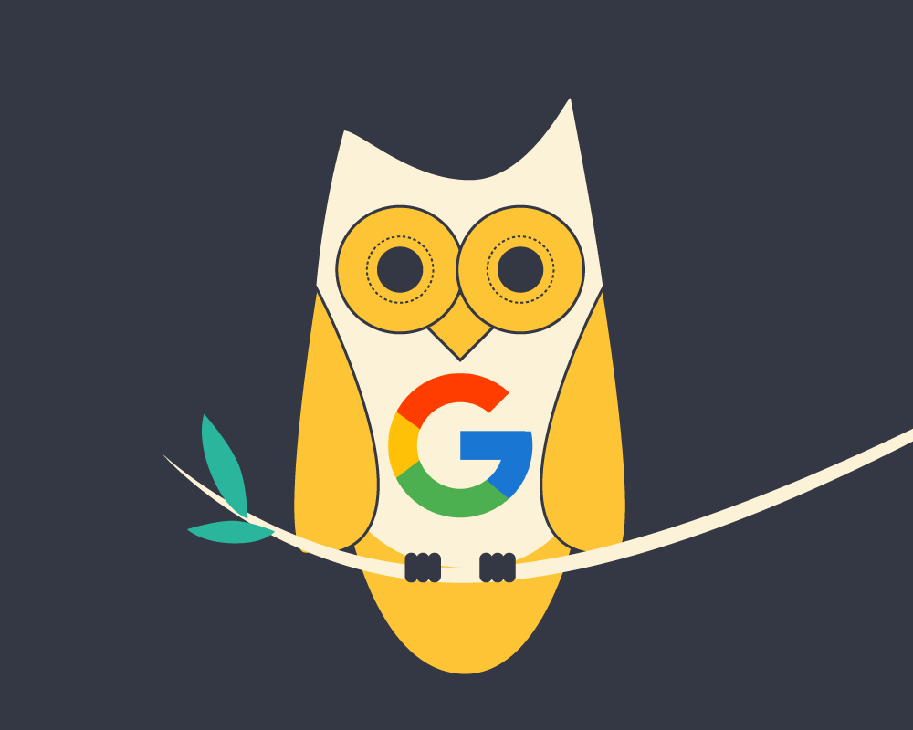 What's Project Owl All About? | Perfect Search Media