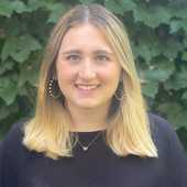 Your Guide to Advertising on Microsoft versus Google | Perfect Search